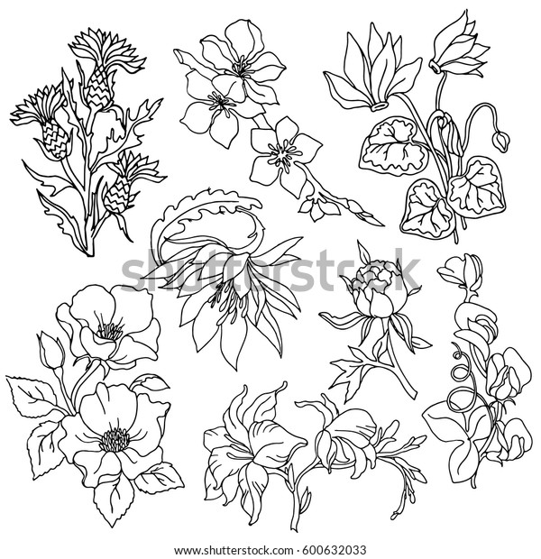 Set Flower Plant Patches Elements Set Stock Vector (Royalty Free) 600632033