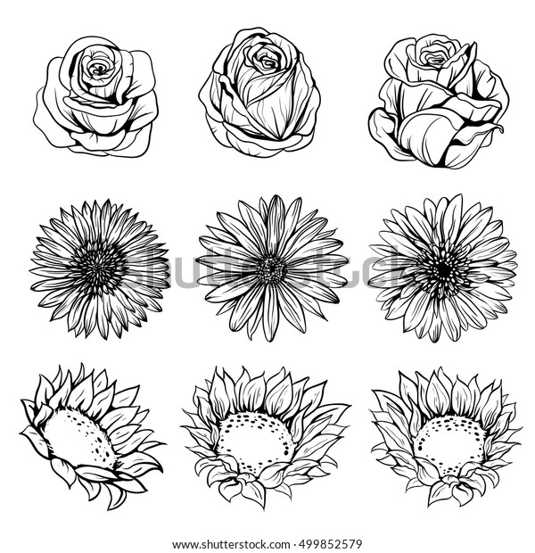 Set Flowers Drawing Black Ink Graphics 스톡 벡터(로열티 프리) 499852579