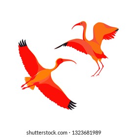 703 Ibis cartoon Images, Stock Photos & Vectors | Shutterstock