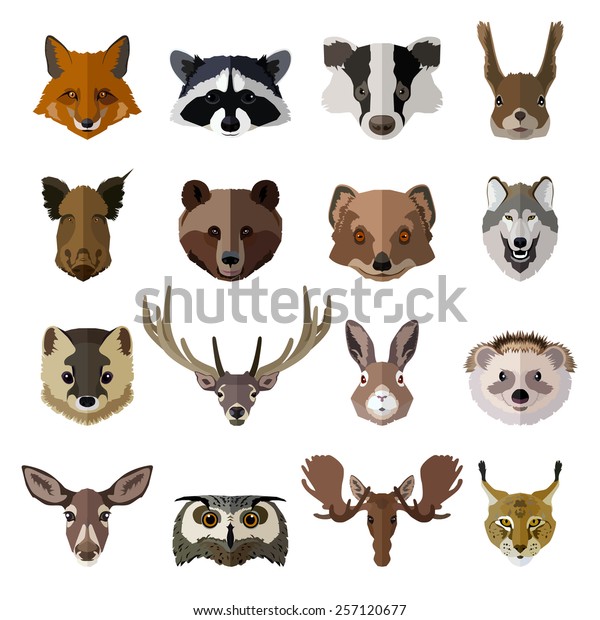 Set Forest Animals Faces Isolated Icons Stock Vector (Royalty Free ...