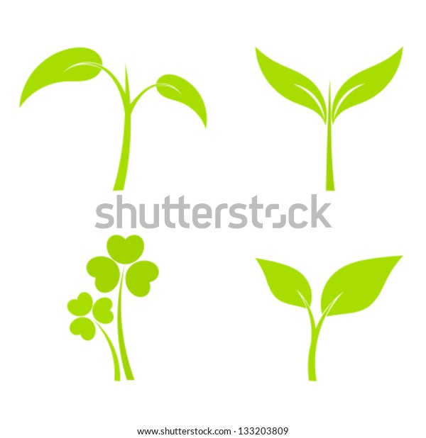 Set Four Plant Leaf Icons Vector Stock Vector (Royalty Free) 133203809