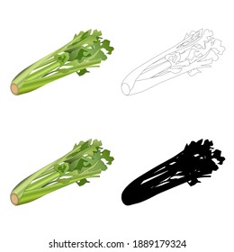 Set Four Stalks Celery Color Outline Stock Vector (Royalty Free ...