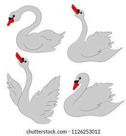Set Four Swans Vector Illustration Stock Vector (Royalty Free ...