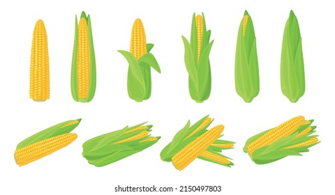 Set Fresh Corn Cartoon Style Vector Stock Vector (Royalty Free ...
