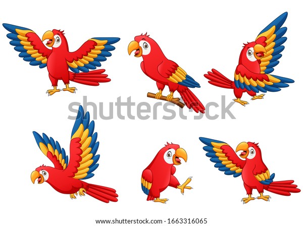 Set Funny Parrot Cartoon Vector Illustration Stock Vector (Royalty Free ...