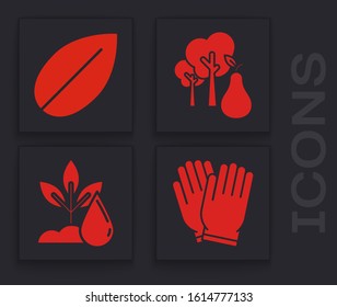 714 imágenes de Gauntlet trees - Imágenes, fotos y vectores de stock ...