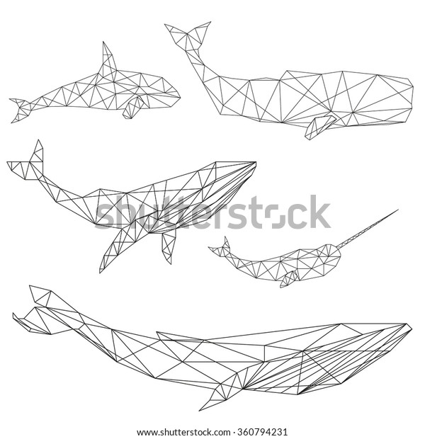 Set Geometric Whales Isolated On White Stock Vector (Royalty Free ...