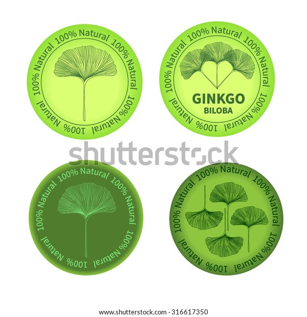Set Ginkgo Biloba Labels Stock Vector (Royalty Free) 316617350 ...