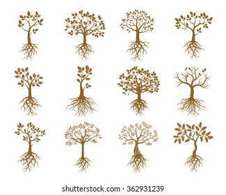 Set Golden Trees Roots: เวกเตอร์สต็อก (ปลอดค่าลิขสิทธิ์) 362931239 ...