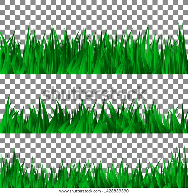 Set Green Grass Template Vector Illustration Stock Vector (Royalty Free ...