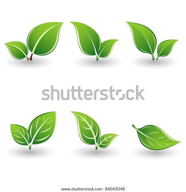 Set Green Leaves Element Design Stock Vector (Royalty Free) 84043048 ...