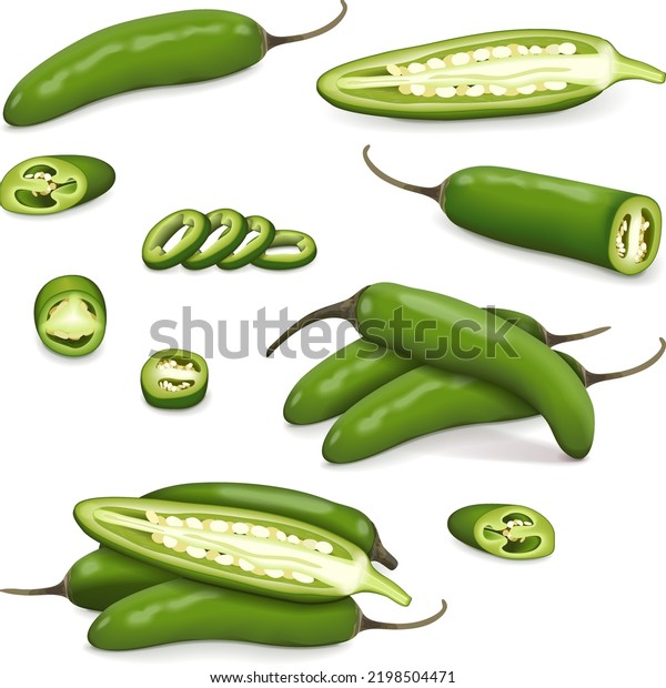 Set Green Serrano Chile Peppers Whole Stock Vector (Royalty Free ...