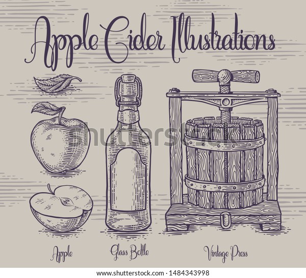 Set Hadcrafted Apple Cider Theme Illustrations Stock Vector (Royalty ...