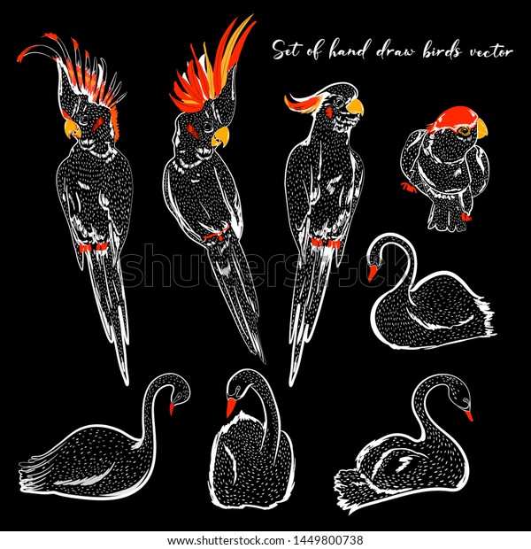 Set Hand Drawn Birds Dooldle Line Stock Vector (Royalty Free ...