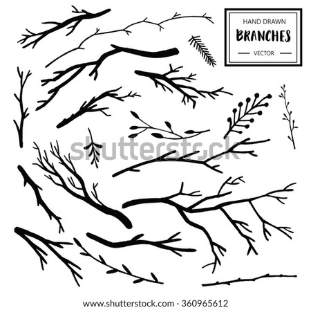 Set Hand Drawn Branches Ink Illustration Stock Vector (Royalty Free ...