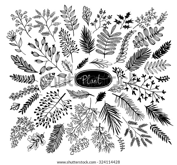 Set Hand Drawn Branches Ink Illustration Stock Vector (Royalty Free ...