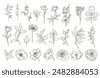24+ Thousand 2d Flower Royalty-Free Images, Stock Photos & Pictures ...