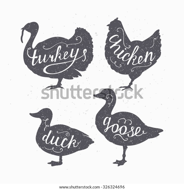 Set Hand Drawn Hipster Style Farm Stock Vector (Royalty Free) 326324696 ...