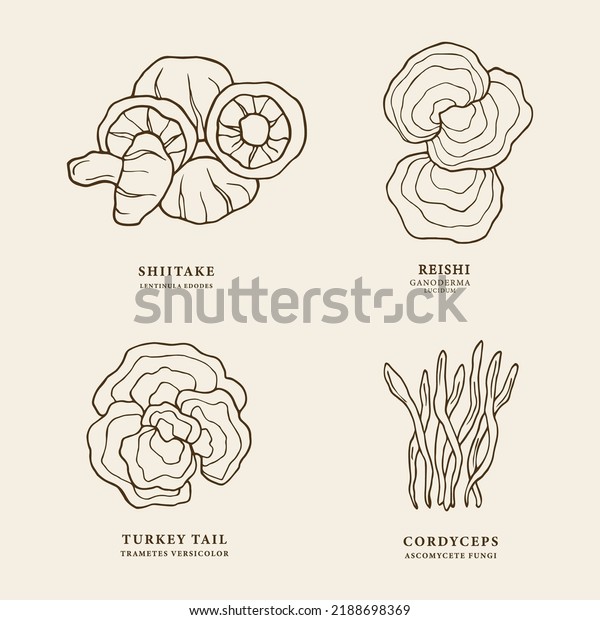 44 Ganoderma logo Gambar, Foto Stok & Vektor | Shutterstock