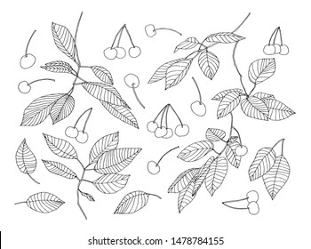 Set Hand Drawn Outline Cherry Tree: Vector có sẵn (miễn phí bản quyền ...
