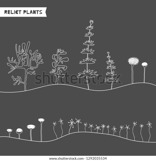 Set Hand Drawn Relict Plants Sketch Stock Vector (Royalty Free ...