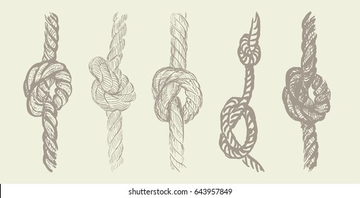 Set Hand Drawn Rope Knots Stock Vector (Royalty Free) 643957849 ...