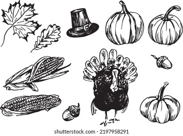 Set Hand Drawn Thanksgiving Day Sketches Stock Vector (Royalty Free ...