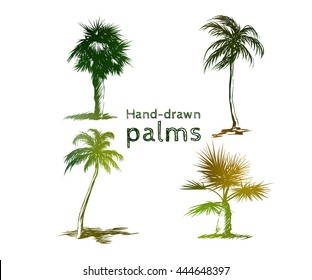 2,876 Oil palm tree vector Images, Stock Photos & Vectors | Shutterstock