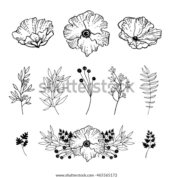 Set Handdrawn Flowers Plants Rustic Style: vector de stock (libre de ...