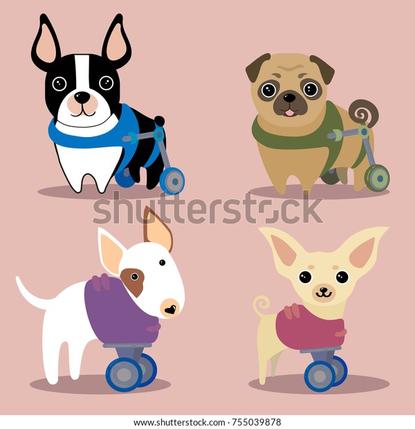 Conjunto de perros discapacitados con prótesis de ruedas. Animales ...