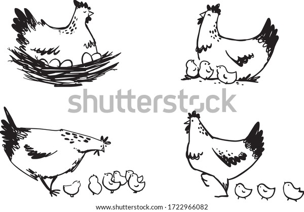 Set Hens Chicks Hen Sitting On Stock Vector (Royalty Free) 1722966082 ...