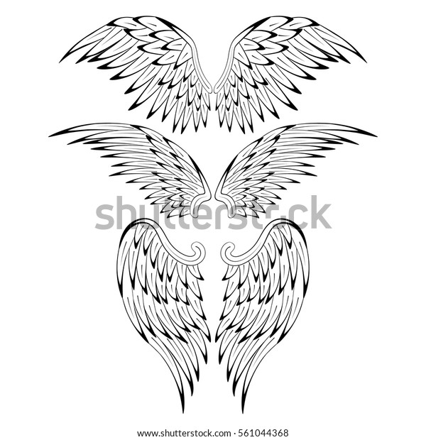 Set Heraldic Bird Angel Wings Isolated Lagervektor (royaltyfri) 561044368