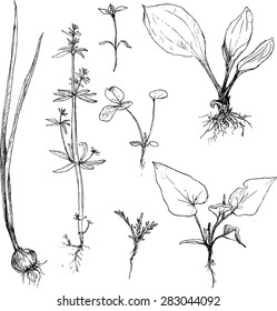 99,681 Graphite drawing Images, Stock Photos & Vectors | Shutterstock