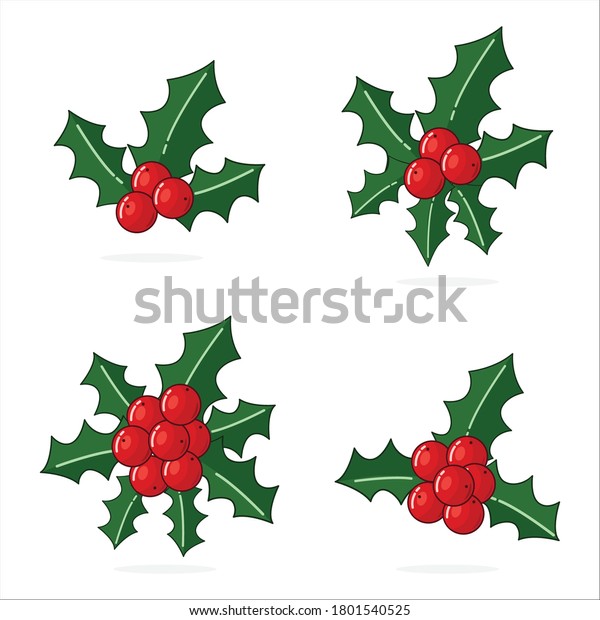 Set Holly Plants Vector Illustration Printing Stock Vector (Royalty ...