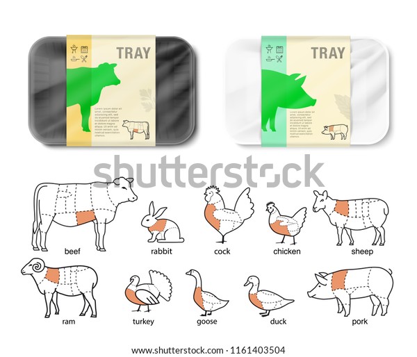Set Horizontal Tray Container Animal Icons Stock Vector (Royalty Free ...