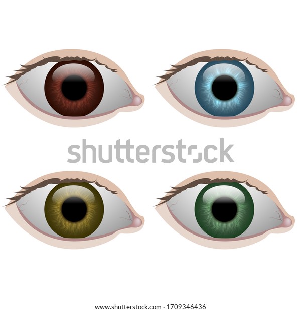 Set Human Eyes Different Colors On Stock Vector (Royalty Free ...