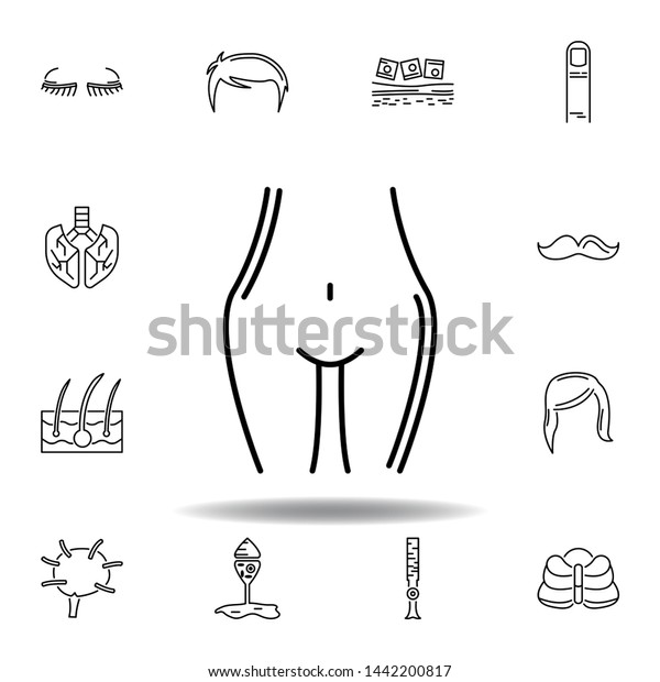 Set Human Organs Female Pubis Outline Stock Vector Royalty Free 1442200817 Shutterstock