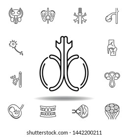 Set Human Organs Testicles Outline Icon Stock Vector (Royalty Free ...