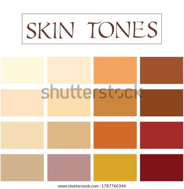 Set Human Skin Colors Colors Skin Stock Vector (Royalty Free) 1787760344