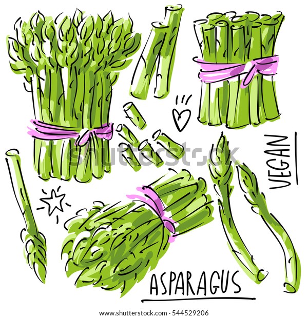 Set Illustration Asparagus Lettering Stock Vector (Royalty Free ...