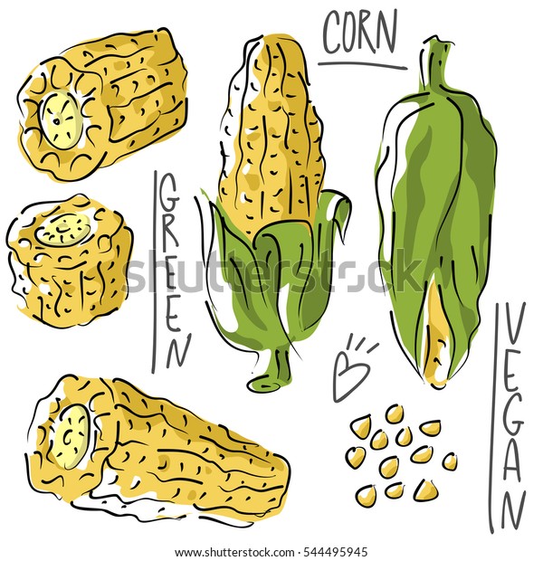 Set Illustration Corn Lettering Stock Vector (Royalty Free) 544495945 ...