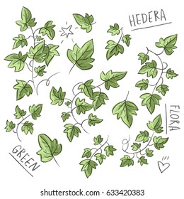 12,407 Ivy graphics Images, Stock Photos & Vectors | Shutterstock