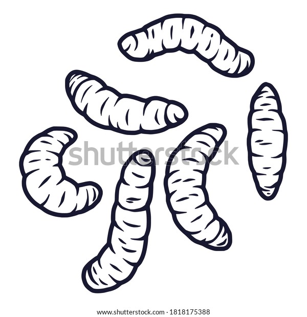 Vektor Stok Set Illustrations Maggots Worms Halloween Design (Tanpa ...