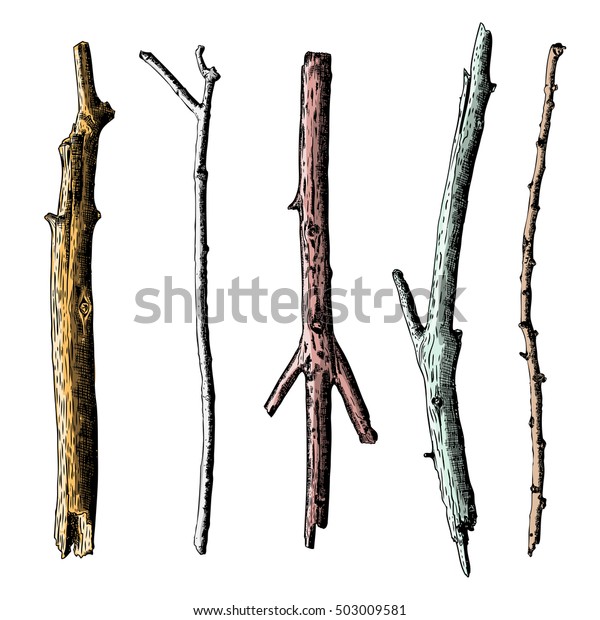 Set Ink Drawing Painted Wood Twigs: เวกเตอร์สต็อก (ปลอดค่าลิขสิทธิ์ ...