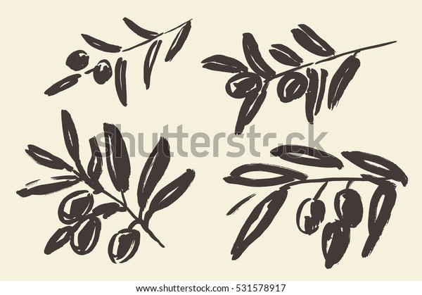 Set Ink Hand Drawn Olive Tree Stock Vector (Royalty Free) 531578917 ...