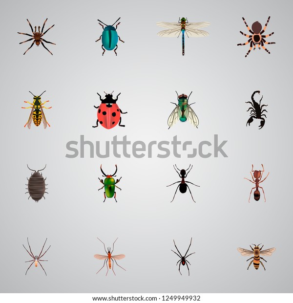 Set Insect Realistic Symbols Sting Black Stock Vector (Royalty Free ...