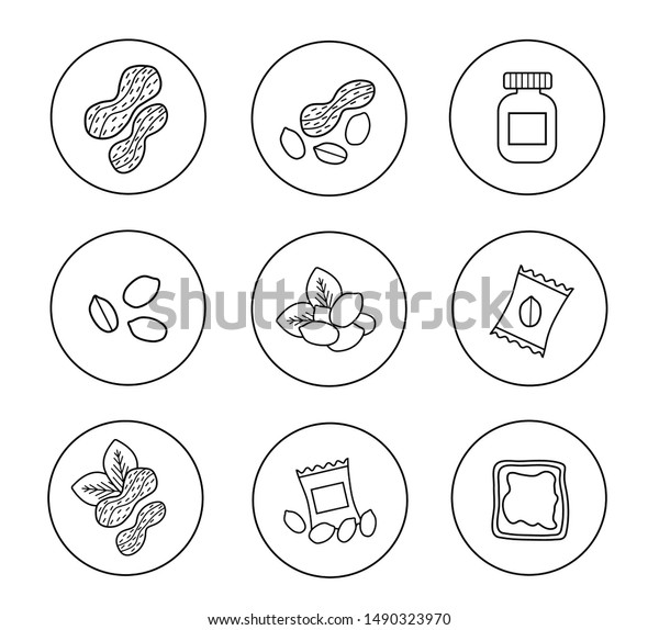 Set Isolated Black Peanut Icons On Stock Vector (Royalty Free ...