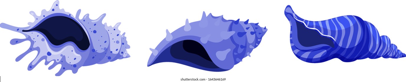 Set Isolated Seashells Blue Color Illustration Stock Vector (Royalty ...