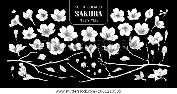 Set Isolated White Silhouette Sakura 38 Stock Vector (Royalty Free ...