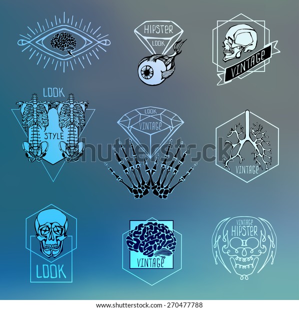 Set Labels Human Skeleton Anatomy Stock Vector (Royalty Free) 270477788 ...
